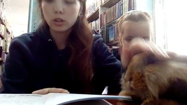 Мария, София и кролик Степан #СидятДома и #ЧитаютСказки