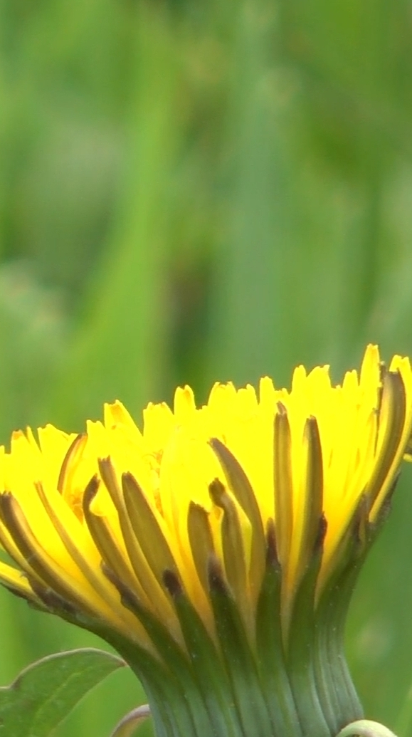 Свежий воздух