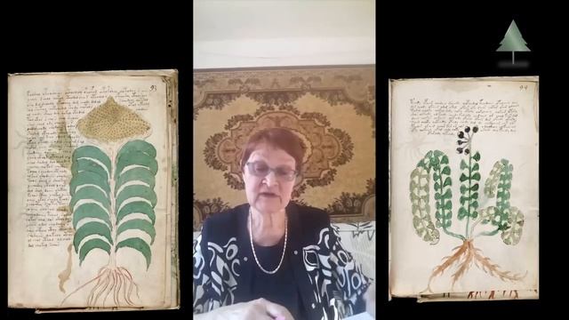 Манускрипт Войнича - техническое пособие на старочешском. Елена Коновалова Древн.mp4