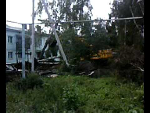 Hitachi валит березу.mp4