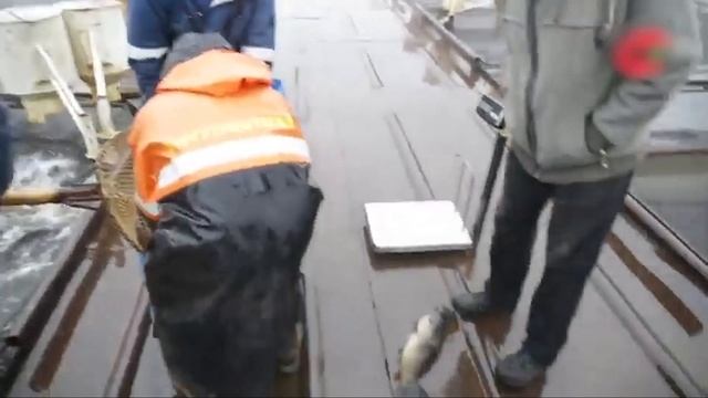 Неделя УрФО 26.11.2022.mp4