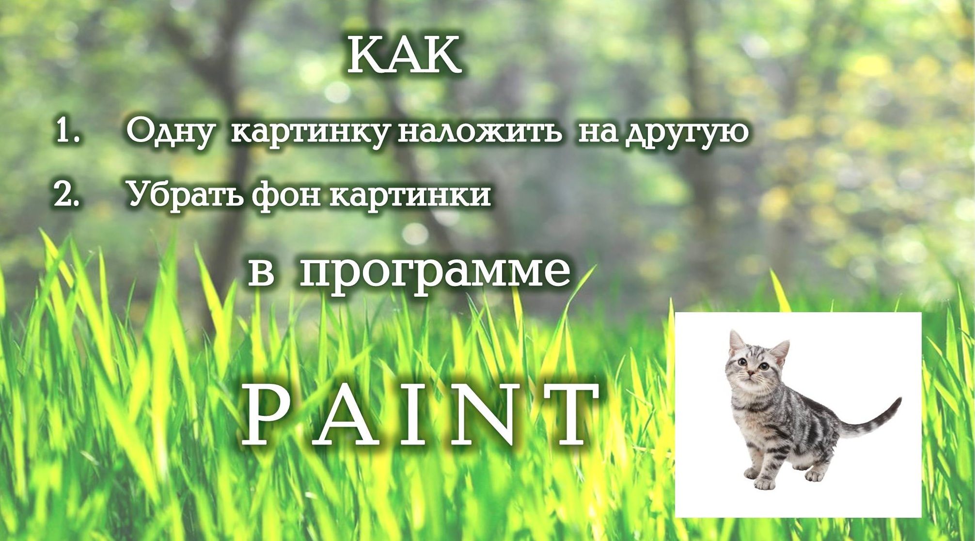 Как Убрать Фон в Paint, как вставить картинку в картинку