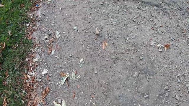 Куда сегодня едем в город Карачаевск_1080pFHR.mp4