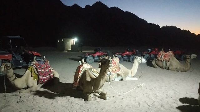 Египет - встреча рассвета в пустыне. Шарм-эль-Шейх-2023