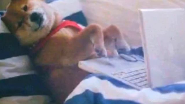 Юмор.С началом рабочей недели!