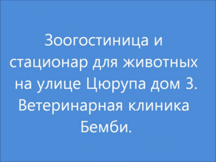 Ветеринарная клиника Бемби. Стационар на ул Цюрупы