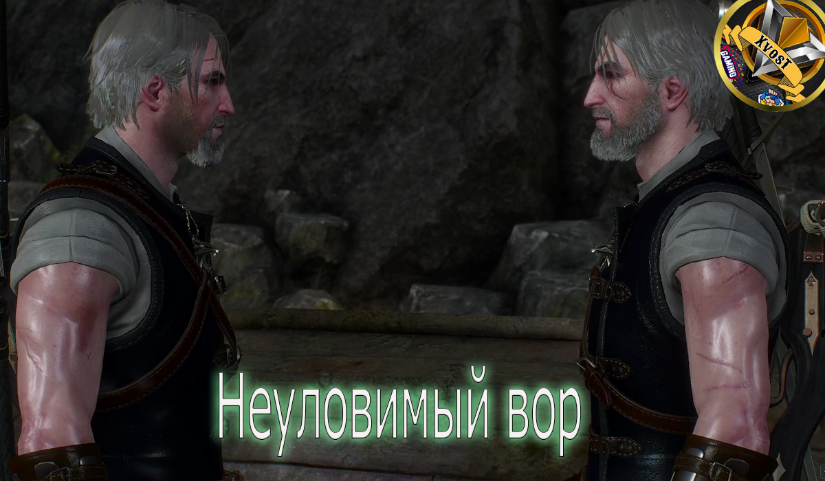 Неуловимый вор- TheWitcher3WildHunt