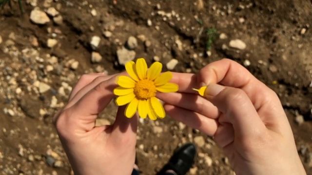 Стихи о любви. "Начиналось всё так красиво... "Любовь и страсть в поэзии