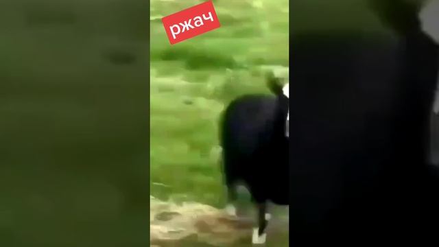 Меня снимаешь?