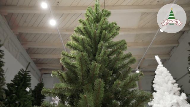 CRYSTAL TREES _ Обзор _ Ель _Алтайская_