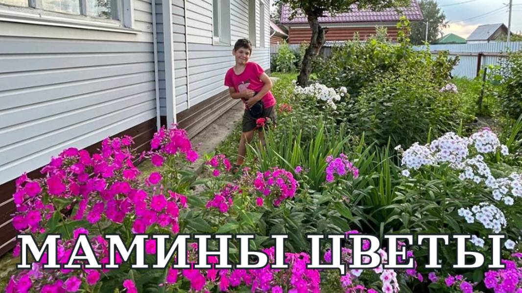 Мамины цветы 2024 год