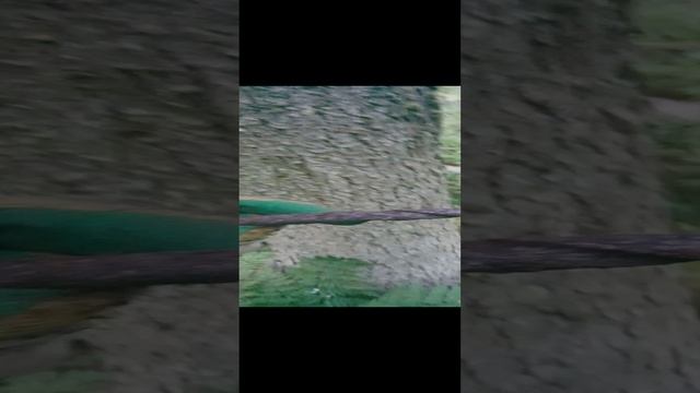 Ручное сверло в лесной глуши