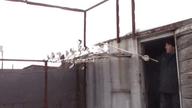 В гостях у д Вани.mp4