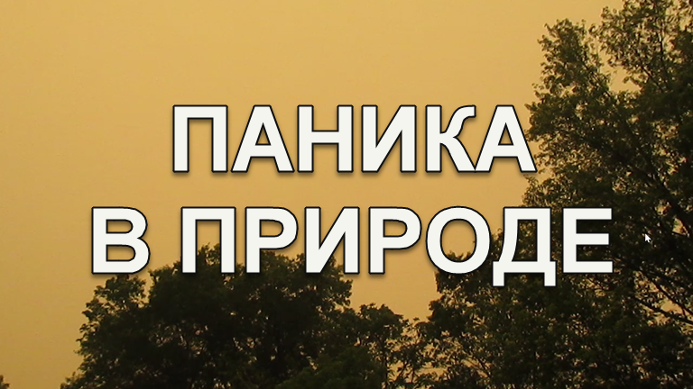 Паника в природе на этой неделе