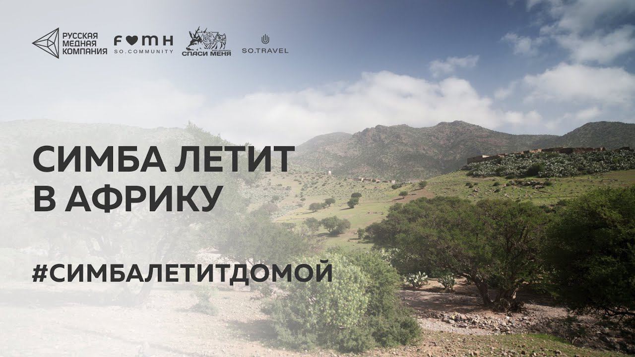 Почему Симбу отправляют именно в Танзанию?