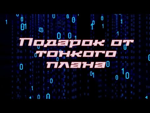 Ноль. Трансляция!