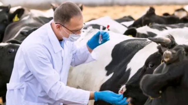 Животновод – профессия будущего