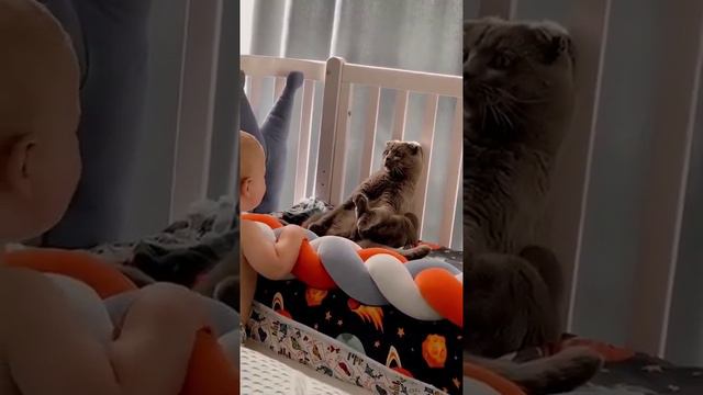 #shorts Хочешь жить умей прятаться 🤣🤣🤣