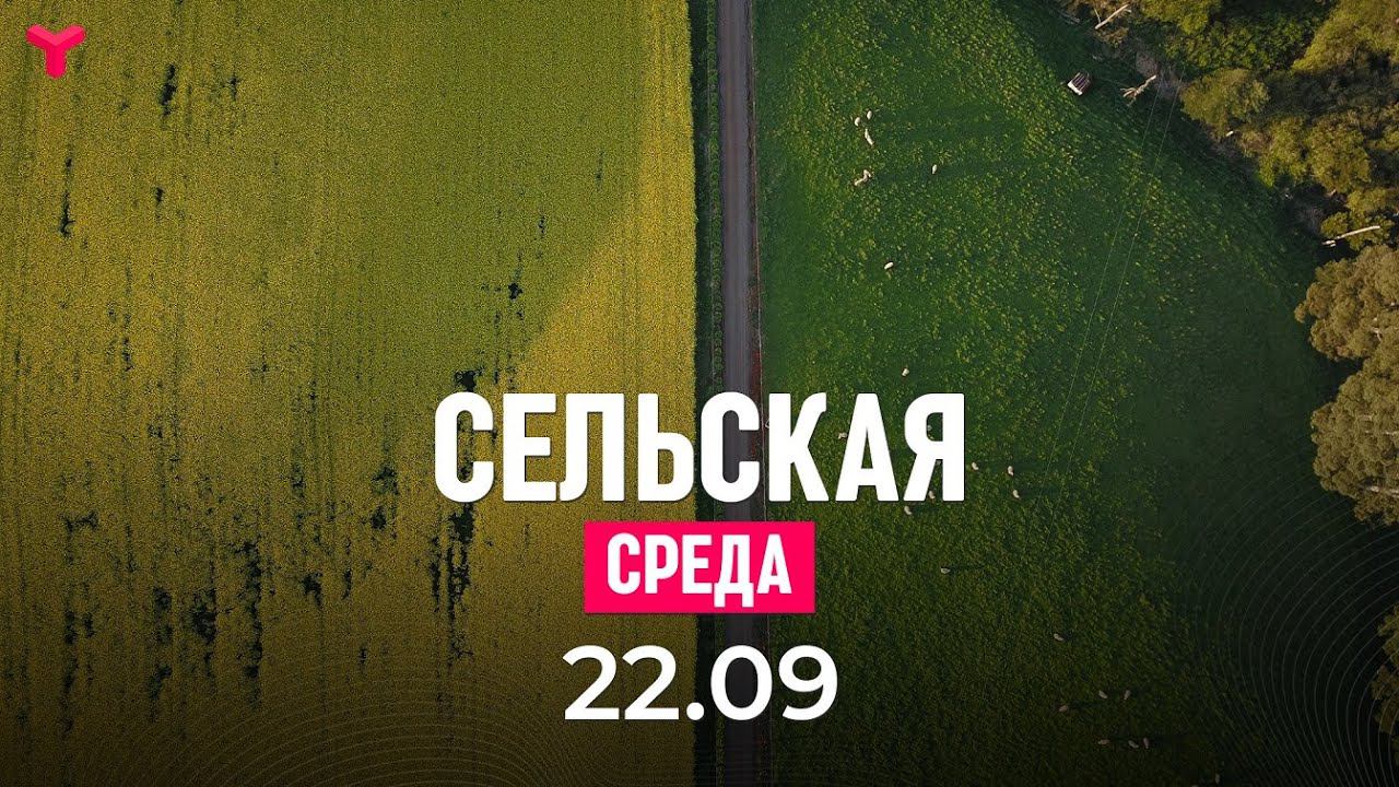 Сельская среда 22.09.2021