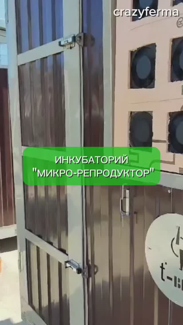 ⚡Запустили инкубаторий "Микро-репродуктор" на ферме в Краснодаре. Заложили около 1000 яиц