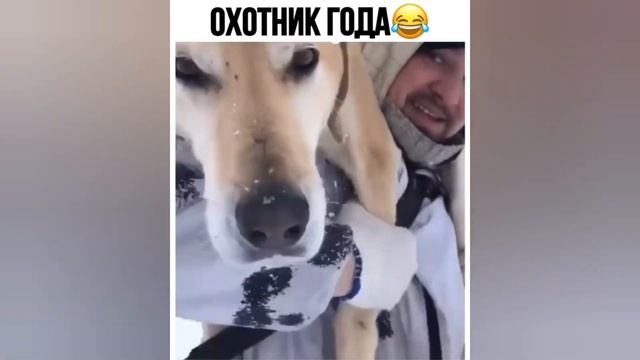 ПРИКОЛЫ ДЛЯ ВЗРОСЛЫХ,ЛУЧШИЕ ПРИКОЛЫ,СБОРКА РЖАЛ ДО СЛЁЗ ЧЁРНЫЙ ЮМОР №57