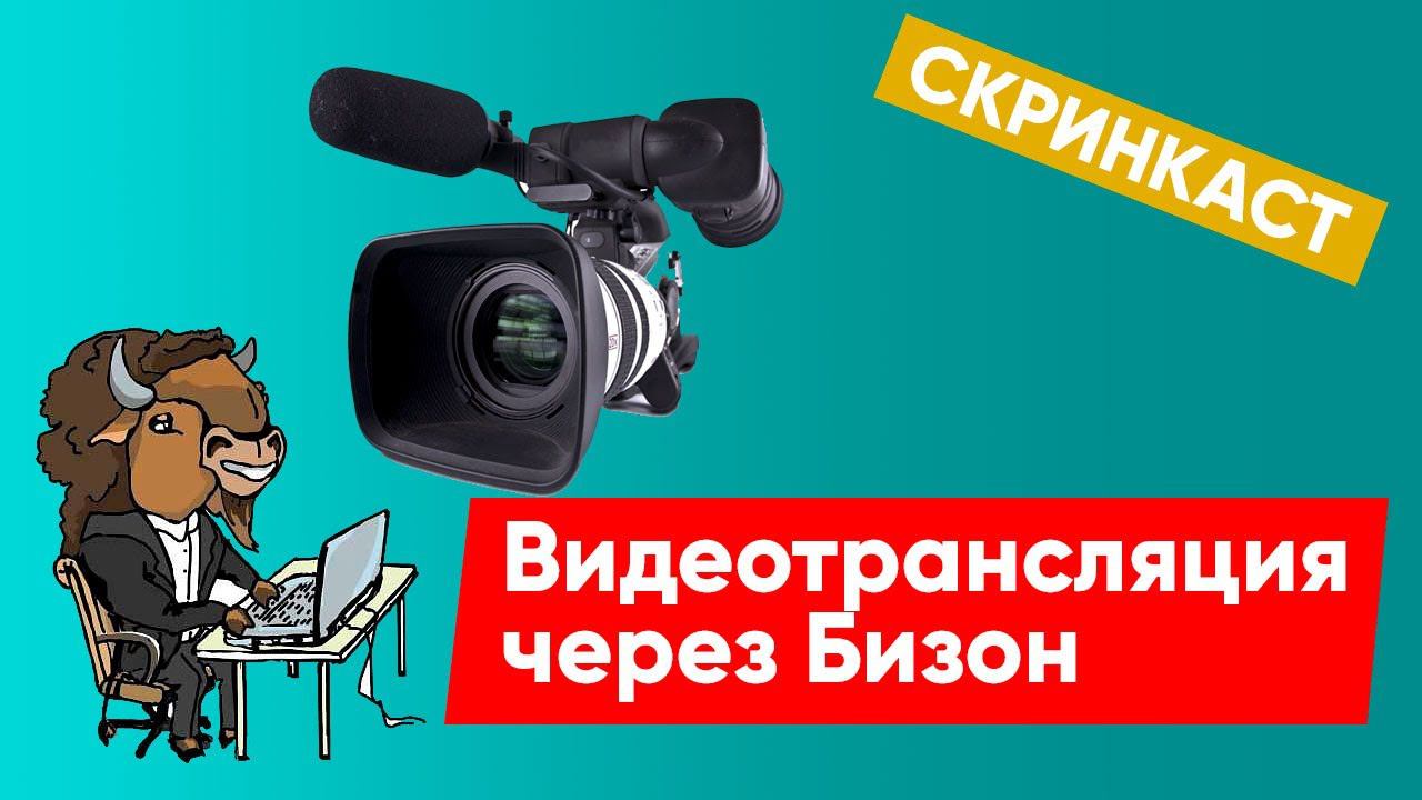 Видеотрансляция через Бизон