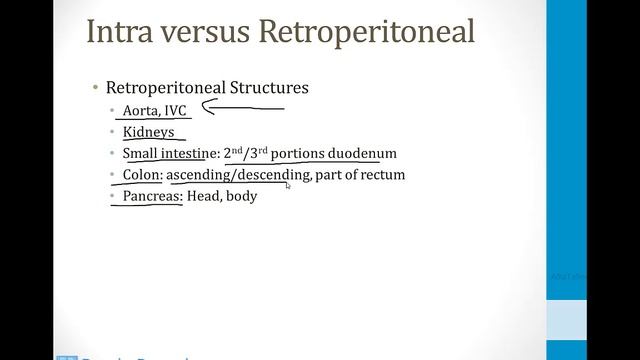 Гастроэнтерология USMLE - 1. Анатомия - 2.Анатомия желудочно-кишечного тракта