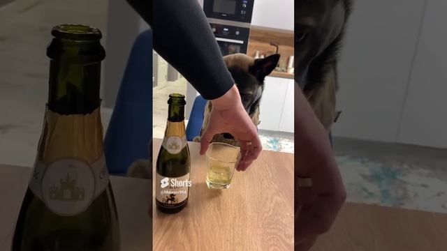 ? это отличное шампанское, давай уже скорее выпьем! С наступающим 2023!