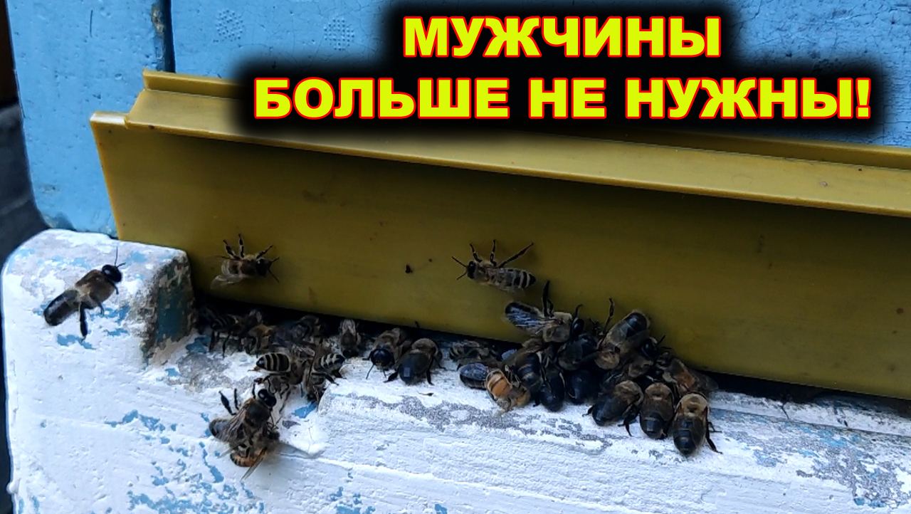 Мужчины больше не нужны.