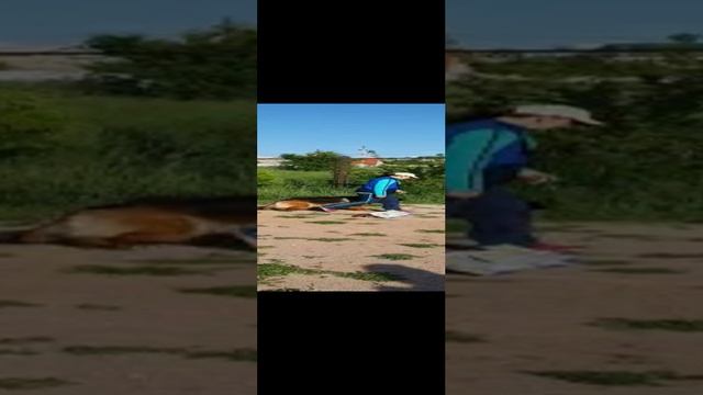 РО1, Коркина Наталья, Zhasmin Yankor Crimea (Жасминка). "Кубок Панды 2022" по Ралли Обидиенс онлайн