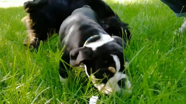 Барселона. Первая прогулка