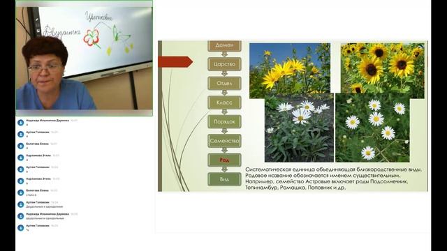 Разнообразие растений. Занятие 4