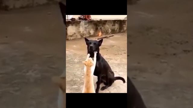 Не трогай рыбу.mp4