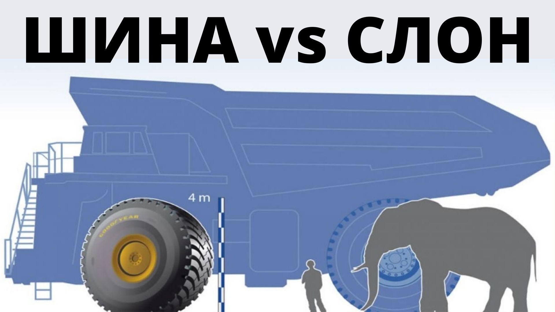 ШИНЫ РАЗМЕРОМ СО СЛОНА за 60000$. Посмотри будет интересно!