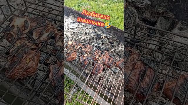 Так называются любители шашлыка?