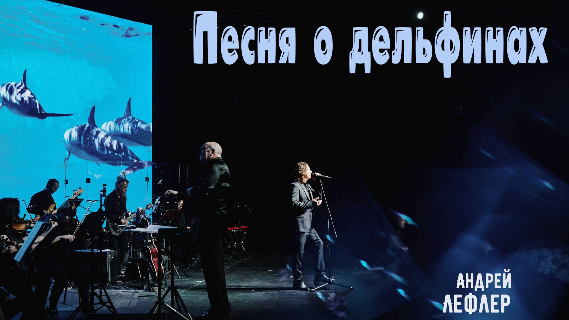 Андрей Лефлер - Песня о дельфинах (Сольный концерт 2023) Live