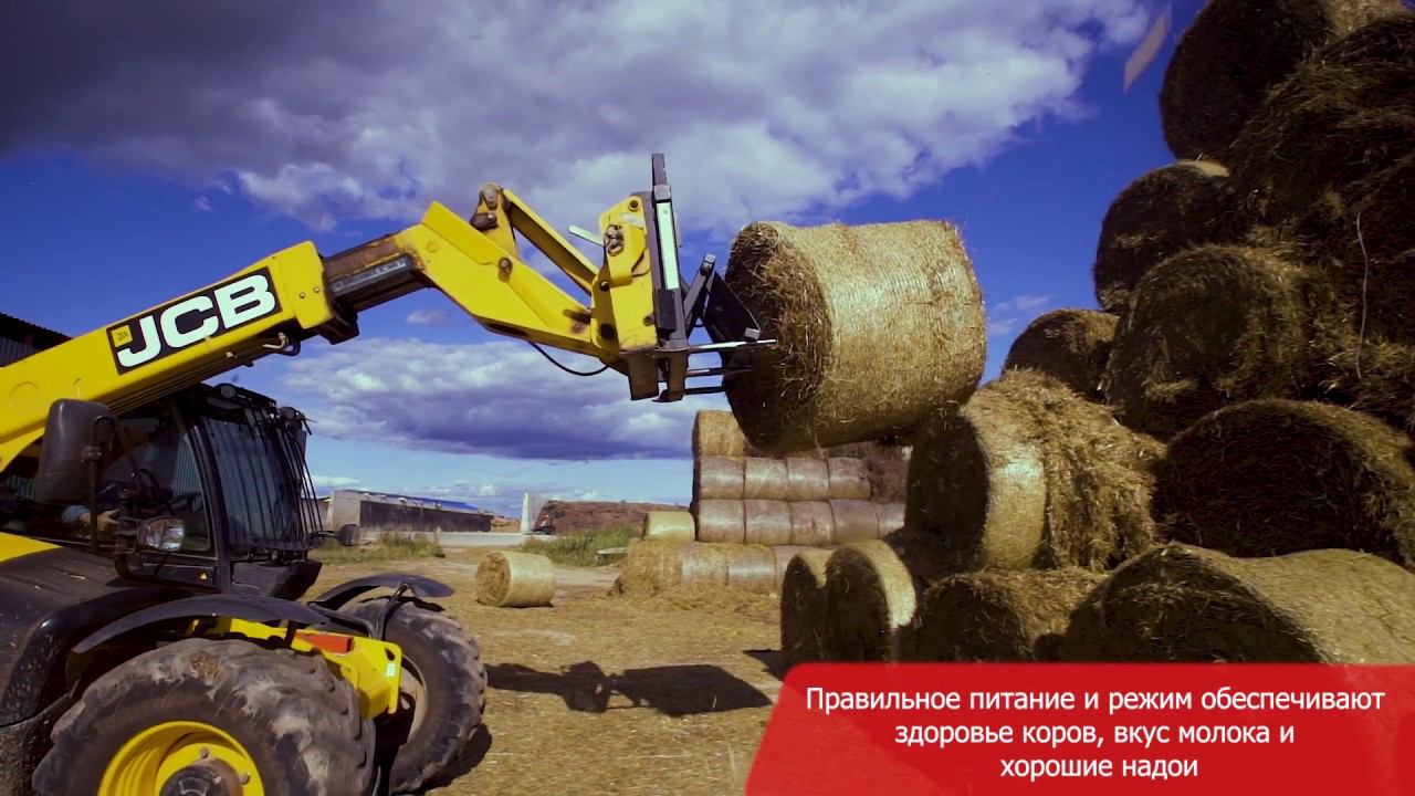 Вкусное молоко ТМ «ЕРМОЛИНО». Секреты производства