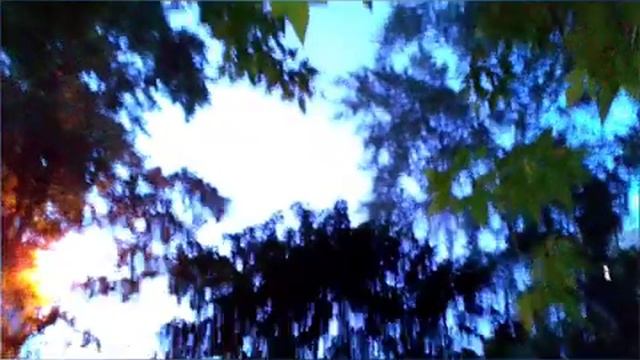 Сериал ИМРК 94 — Прогулки с собаками с Иваном Краснояровым