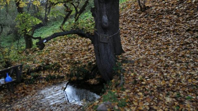 ИСТОЧНИК АРХАНГЕЛА МИХАИЛА. КАЛУЖСКАЯ ОБЛАСТЬ