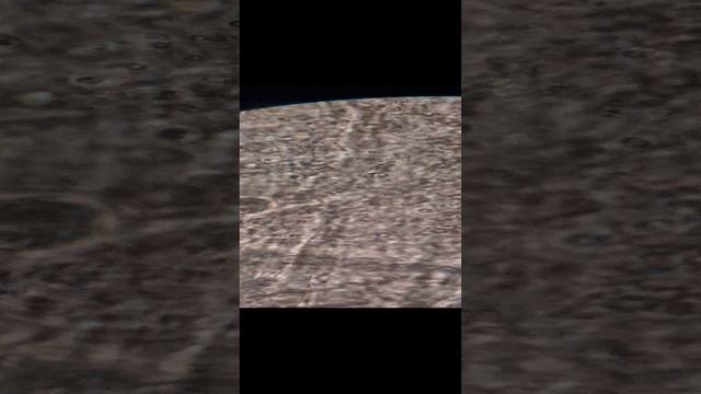 Пицилия 3: 1000х