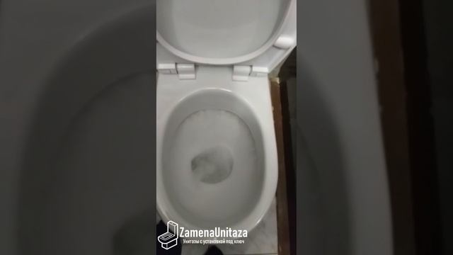 Тест смыва унитаза Rosa Комфорт Косой Выпуск от ZamenaUnitaza