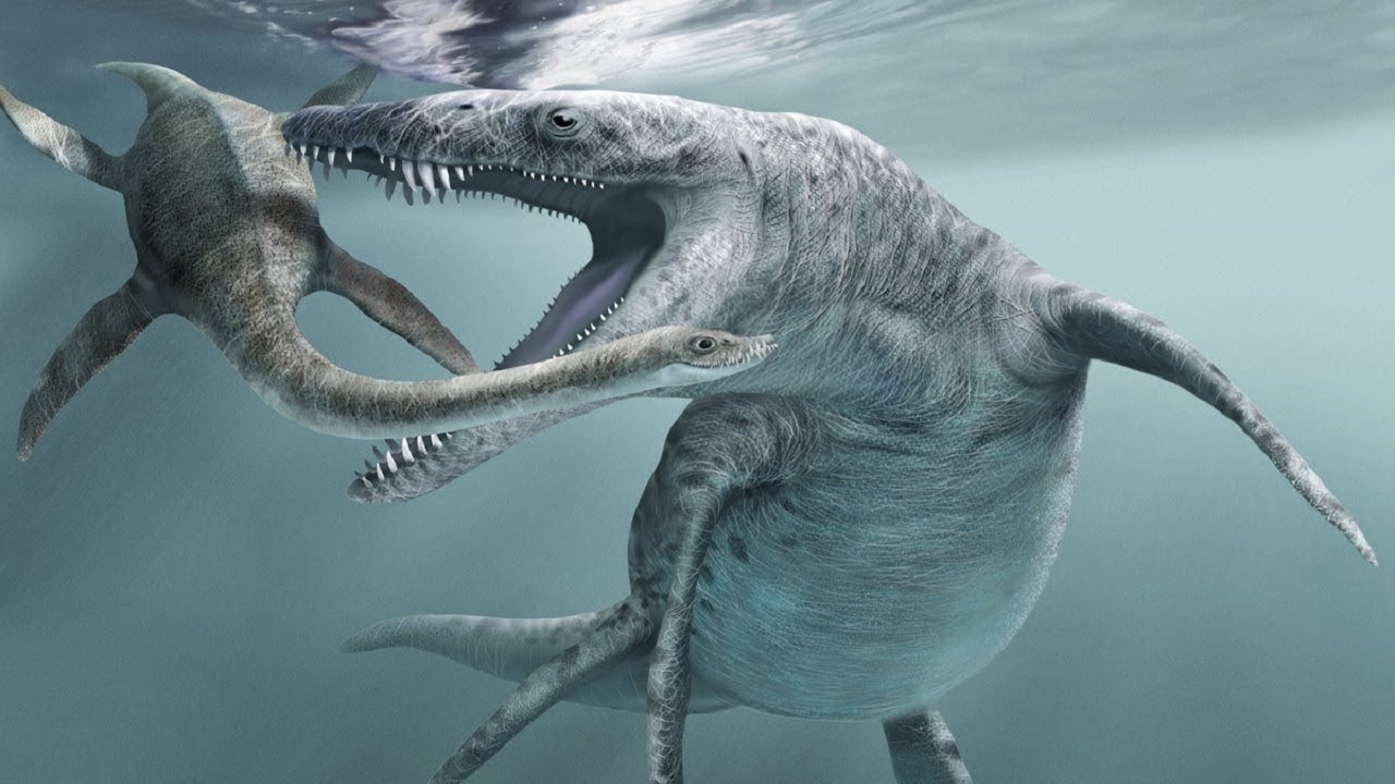 Удар был такой силы, что лодку перевернуло!