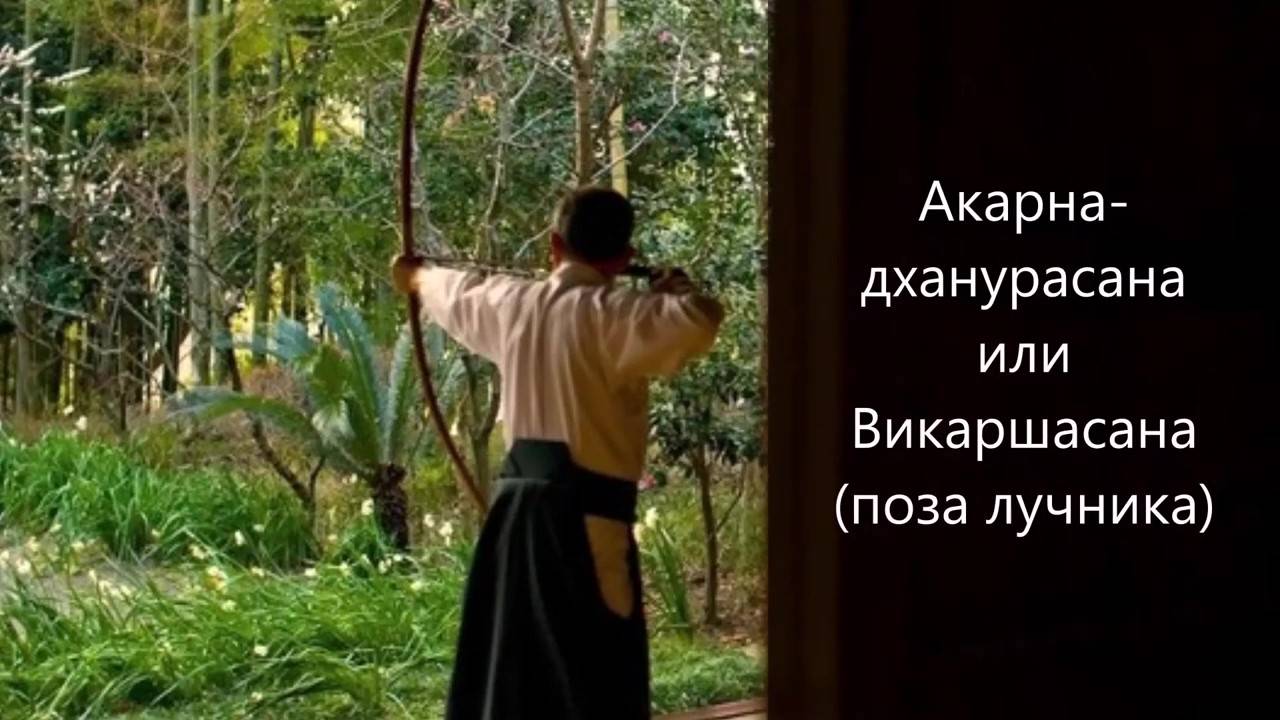 Викаршасана, часть 1. Поза лучника