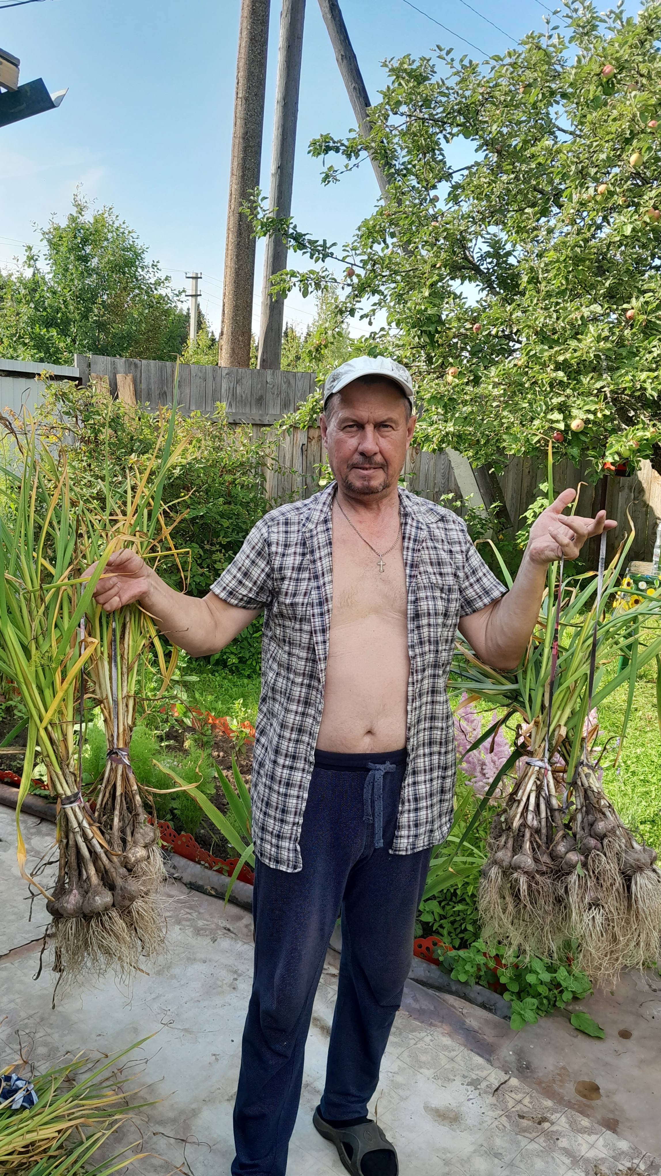 Как я сушу чеснок после уборки. Подготовка чеснока к зимнему хранению