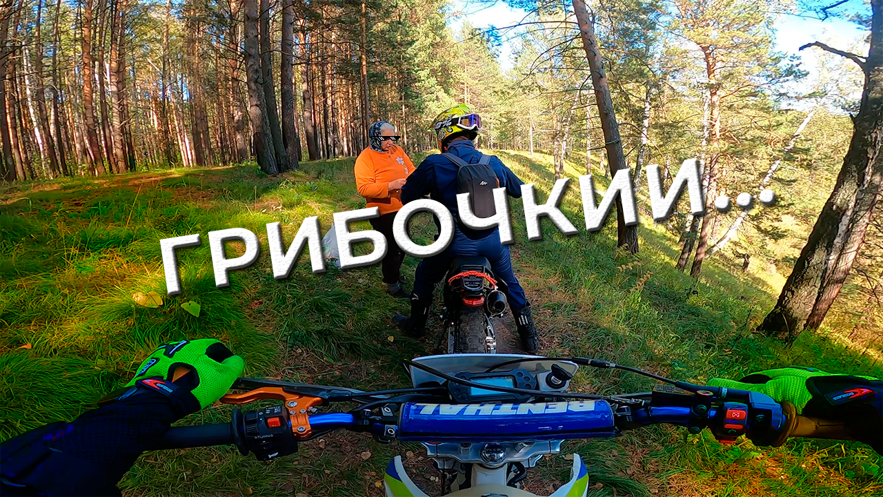 ⛰ ГОРКИ "HILL CLIMB" и ГРИБОЧКИ ОТ БАБУЛИ | ПОКАТУШКИ НА ЭНДУРО В ТОМСКЕ | AVANTIS FX-250