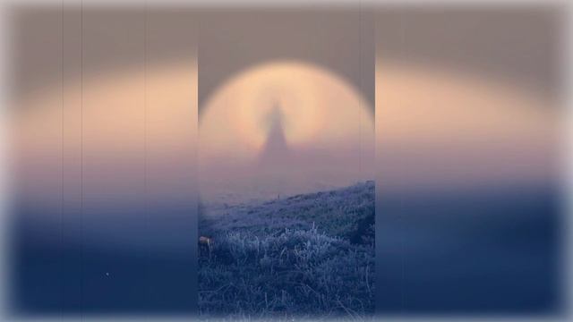 Явление Богородицы в России