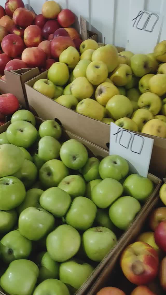 Цены на овощи в Ростовской области Апрель #shorts