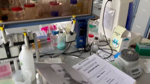 Олимпиада ТГМУ команда Нейропати