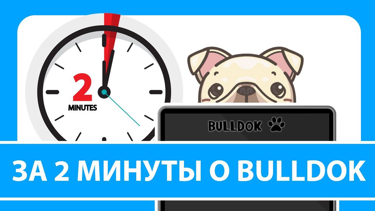 За 2 минуты о программе BULLDOK