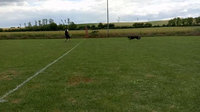 Qualifier Austria'17  Christoph & Scooby.mp4